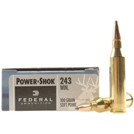 601Sports.com | Sports & Outdoors Federal 243 Winchester 100 Grain Soft ...